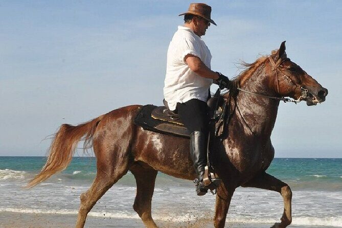 Horse Riding Experience through El Limon Beach - FAQ