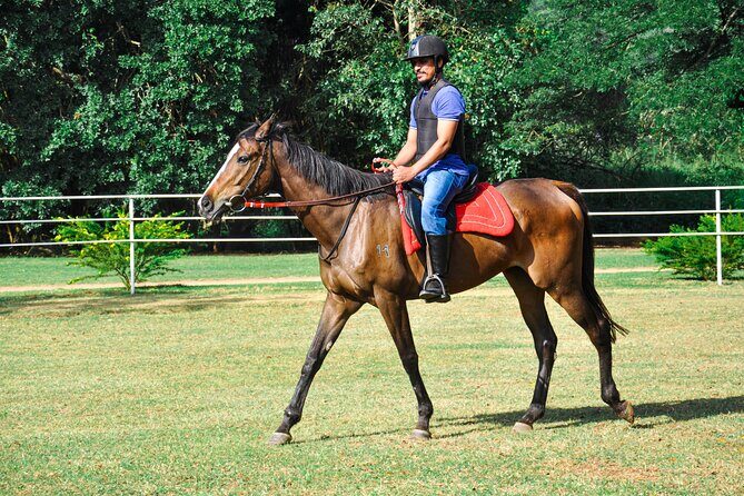 Horse Riding for Beginners from Negombo - Key Points