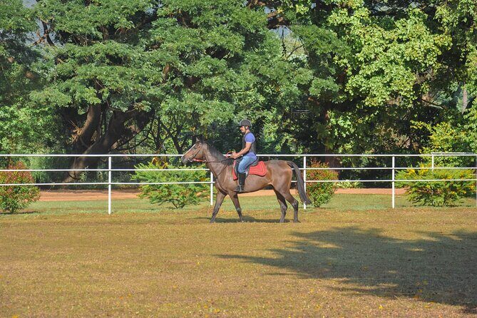 Horse Riding for Beginners from Negombo - FAQ
