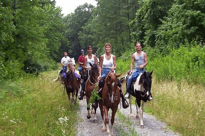 Horse Riding From Kusadasi Port / Hotels - Practical Tips for Travelers