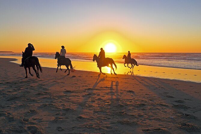Horse Riding in Antalya,Belek,Lara Beach(Sunrise,Sunset,Day Time) - Who Should Consider This Tour?