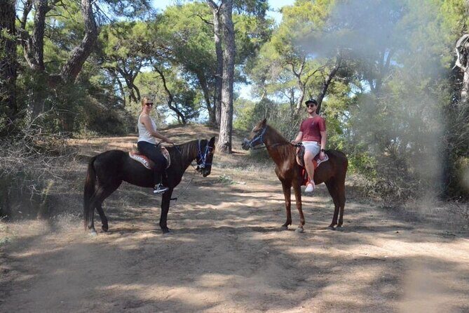Horse Riding in Manavgat Side Forest and Beach - Booking and Practical Details