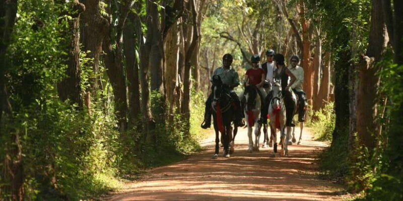 Horse Riding in Nuwara Eliya - Key Points