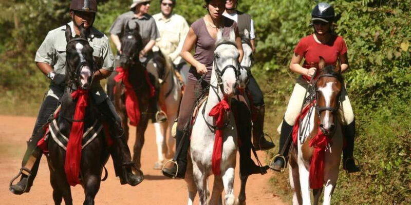 Horse Riding in Nuwara Eliya - An Authentic Trail through the Heart of Sri Lanka’s Landscape
