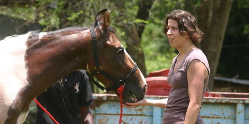 Horse Riding in Nuwara Eliya - What’s Included and What’s Not