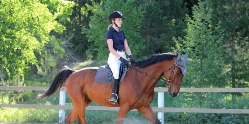 Horse Riding in Nuwara Eliya - The Journey for Different Travelers