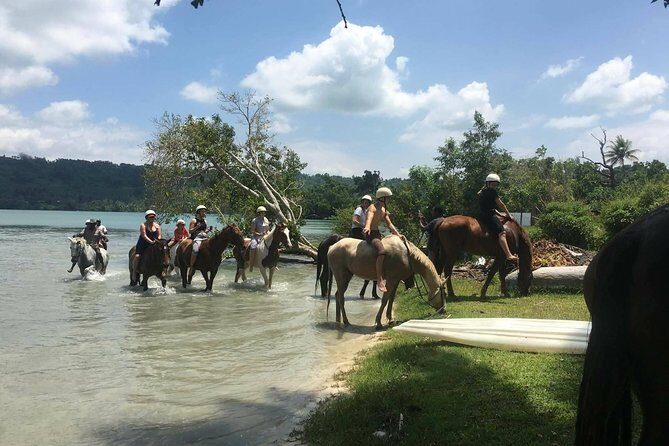 Horse Riding in Port Vila with Yumi Tours - An Introduction to Horse Riding in Port Vila