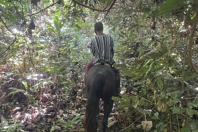Horse Riding in Port Vila with Yumi Tours - Practical Details: Transportation, Duration, and Cost