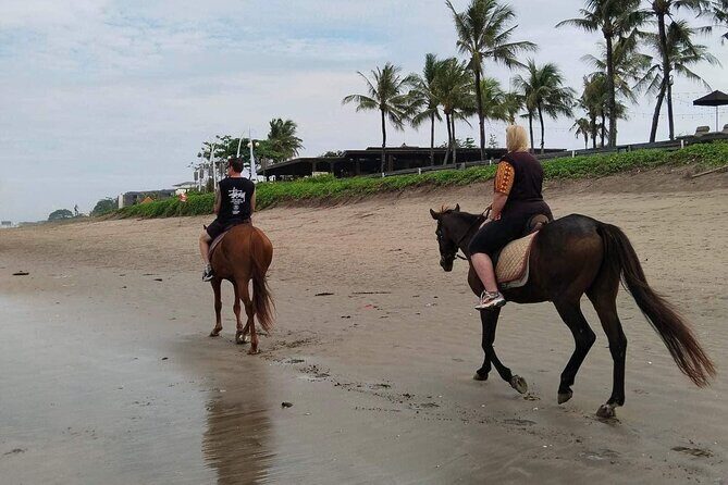 Horse Riding in the beach with bali Luxury Spa - Who Should Consider This Tour?