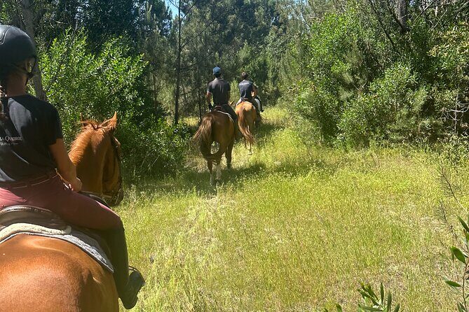 Horse Riding in the Countryside - The Horses and Guides