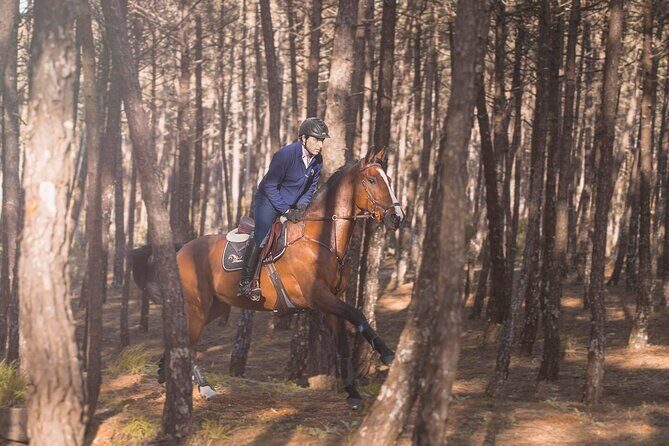 Horse Riding in the Countryside - Final Thoughts: Is This Tour Right for You?