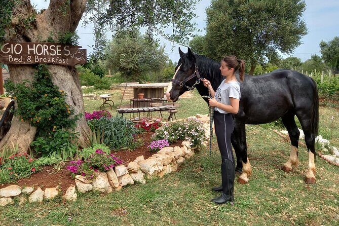 Horse riding in the Gargano National Park - Exploring the Beauty of Gargano on Horseback