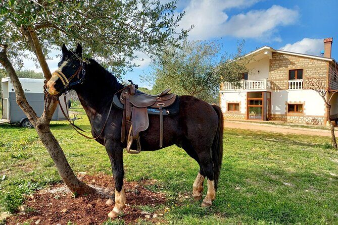 Horse riding in the Gargano National Park - Who Will Love This Experience?