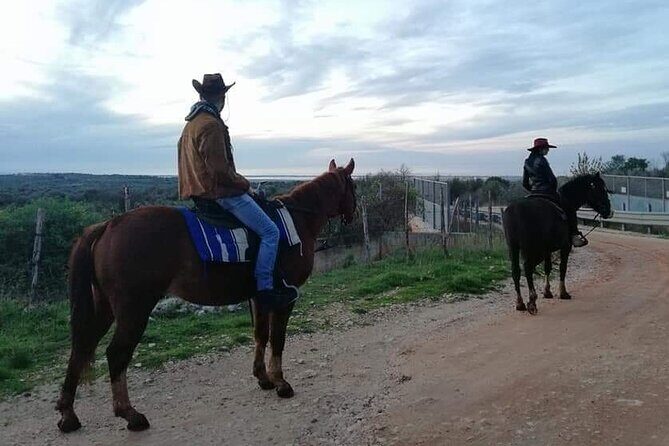 Horse riding in the Gargano National Park - Practical Details and Considerations