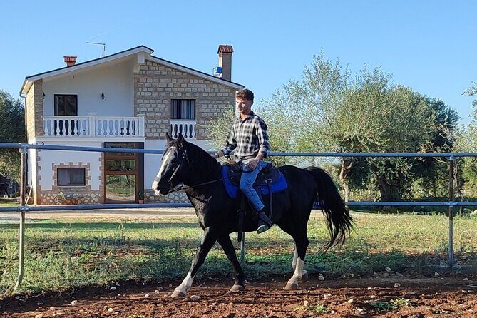 Horse riding in the Gargano National Park - FAQ