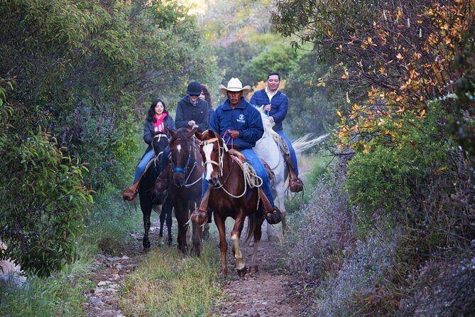 Horse Riding in the Mountain - Authentic Experiences and Practical Tips
