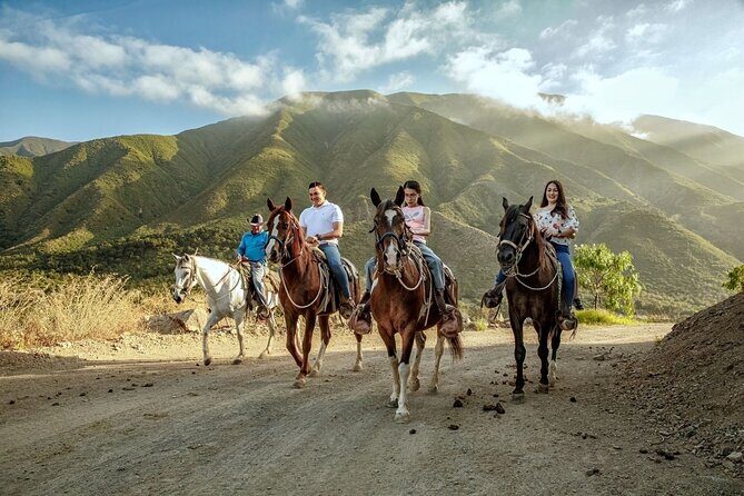 Horse Riding in the Mountain - Who Should Book This Tour?