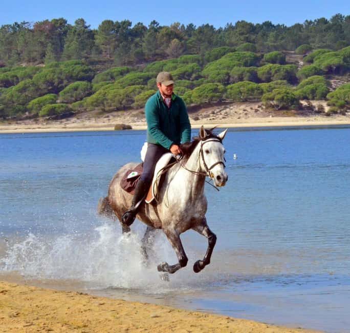 Horse riding in the Valley, near Lisbon, brunch and winnery - Exploring Horseback Riding Near Lisbon: Brunch and Winery Adventure