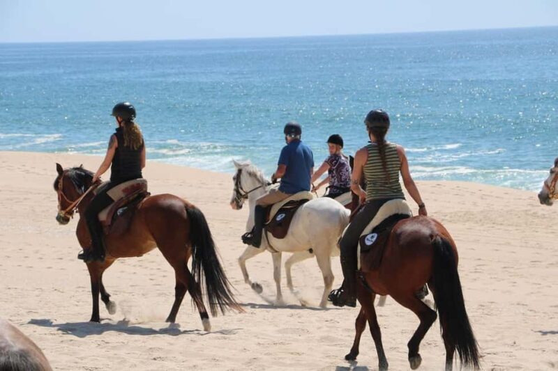Horse riding in the Valley, near Lisbon, brunch and winnery - An Authentic Horseback Experience Near Lisbon