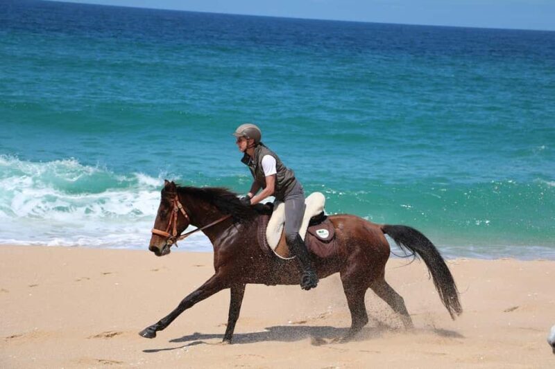 Horse riding in the Valley, near Lisbon, brunch and winnery - What’s Included and What’s Not