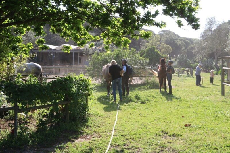Horse riding in the Valley, near Lisbon - Key Points