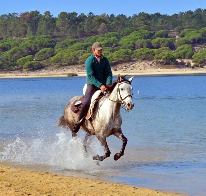 Horse riding in the Valley, near Lisbon - An In-Depth Look at the Horse Riding Tour Near Lisbon