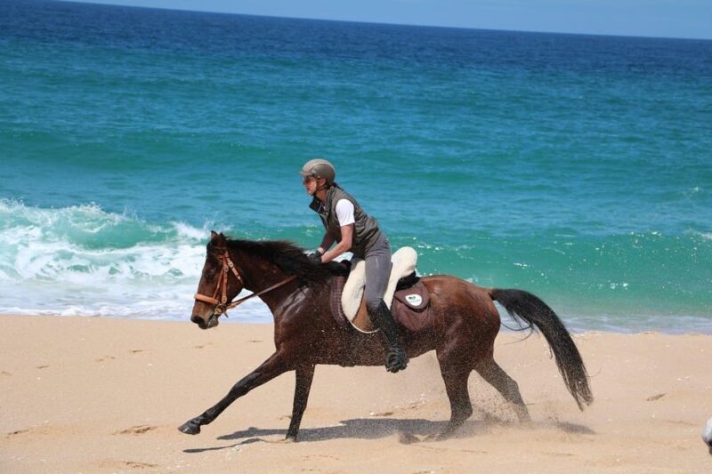 Horse riding in the Valley, near Lisbon - Final Thoughts