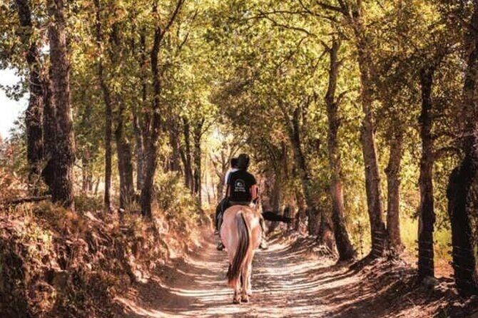 Horse riding in the vineyards of Grimaud + wine tasting - An In-Depth Look at the Experience