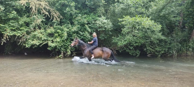 Horse Riding in Tuscany for Experienced Riders: Full-day Trail Ride - Discovering Tuscany on Horseback: An Honest Review