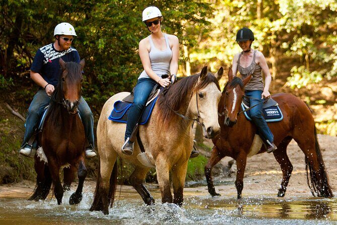 Horse Riding, Koalas & Kangaroos - Wild Australia: Private Tour - An In-Depth Review of the "Horse Riding, Koalas & Kangaroos" Tour