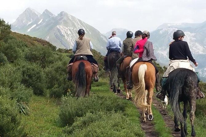 Horse Riding Madrid Natural Park (long Trip) - Discovering the Itinerary: What to Expect from Start to Finish