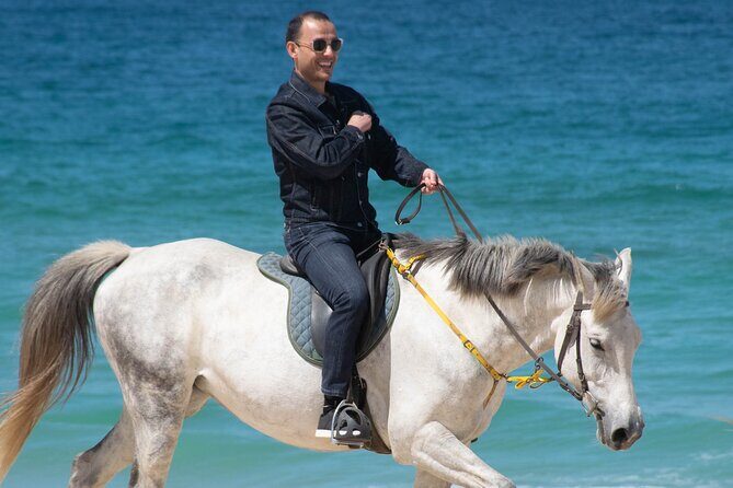 Horse Riding on Melides Beach - A Closer Look at the Melides Beach Horseback Tour