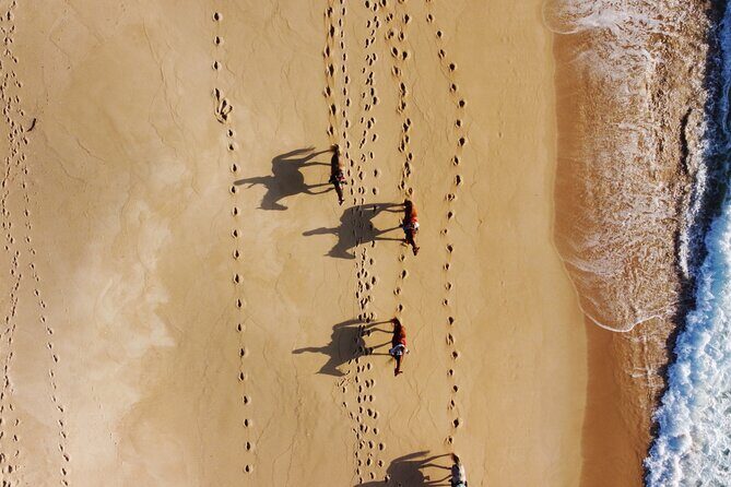 Horse Riding on Melides Beach - FAQ