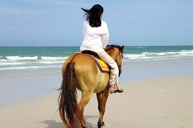 Horse Riding on the Beach in Side - Key Points