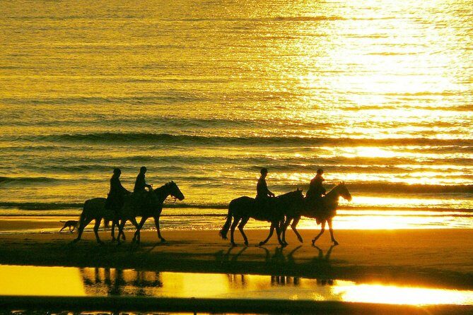 Horse riding on the Beach, Rhodes - What the Reviews Say