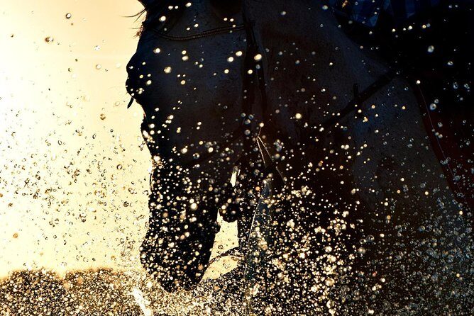 Horse riding on the Beach, Rhodes - Practical Details for Travelers
