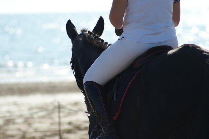 Horse riding on the Beach, Rhodes - Who Will Love This Tour?
