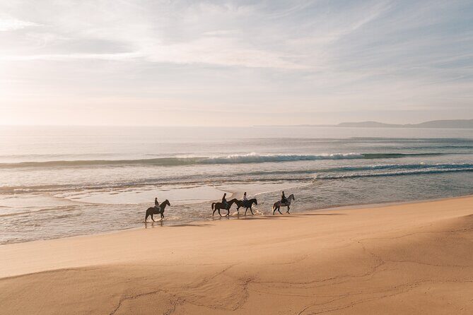 Horse Riding on the Beach with private transfer from Lisbon - An In-Depth Look at the Horseback Ride on Portugals Comporta Beaches