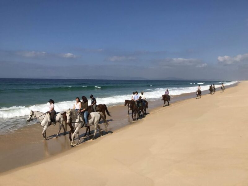 Horse riding on the beach, with private transfer from Lisbon - An In-Depth Look at the Experience