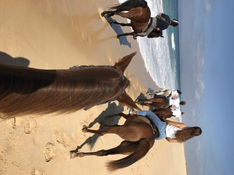 Horse riding on the beach, with private transfer from Lisbon - Practical Considerations for Travelers
