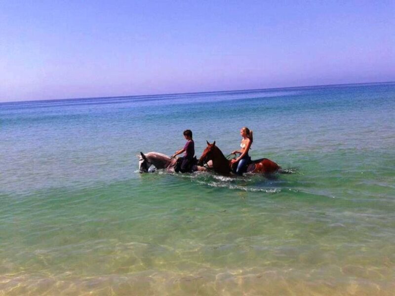 Horse riding on the beach, with private transfer from Lisbon - FAQ