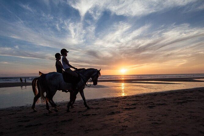 Horse Riding on the Black Sand Beach and Free Hotel Transfers - Key Points