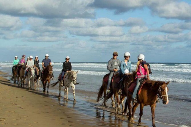 Horse Riding on the Black Sand Beach and Free Hotel Transfers - Exploring the Black Sand Beach Horseback Ride