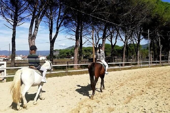 Horse Riding Small Group near Lucca - An Authentic Ride through Tuscany: What to Expect