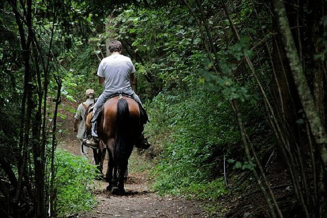 Horse Riding Small Group near Lucca - Practical Tips