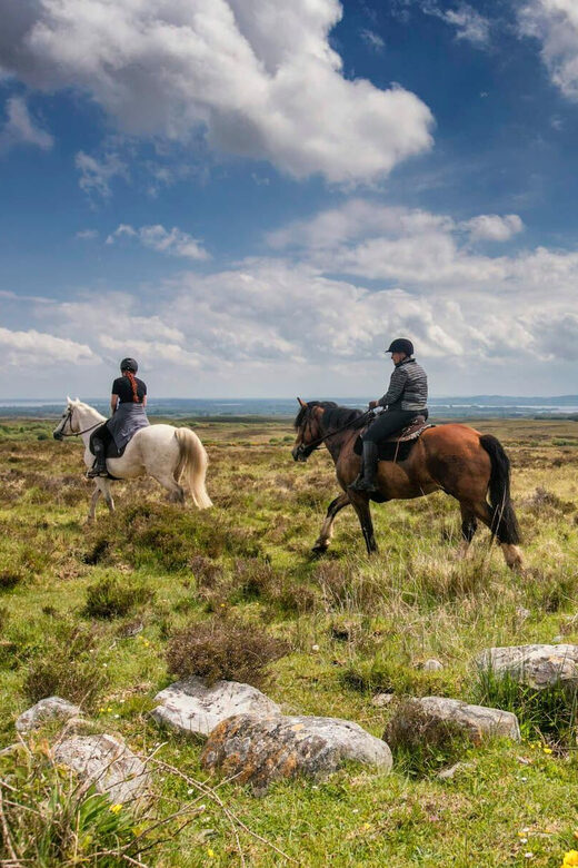Horse riding the dirt trail. Clare. Guided. 1 hour - An Overview of the Horse Riding Experience in Clare