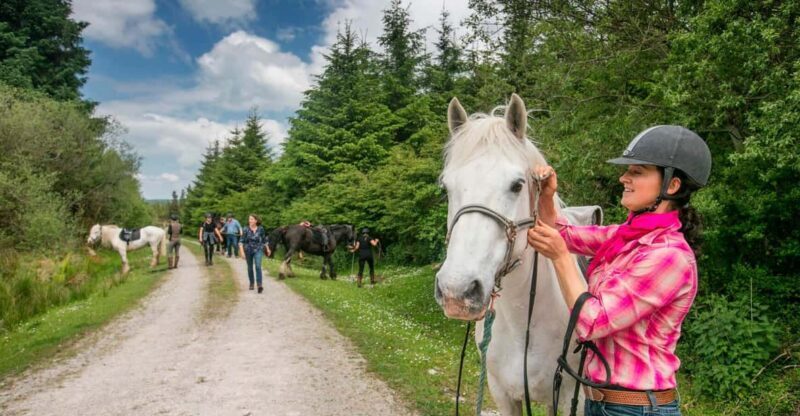 Horse riding the dirt trail. Clare. Guided. 1 hour - What Makes This Ride Special