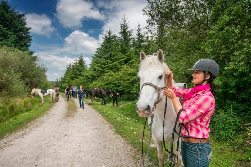 Horse riding the mountain trail. Clare. Guided, 2 hours - Understanding the Experience