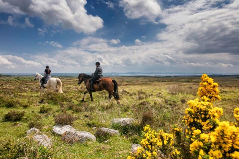 Horse riding the mountain trail. Clare. Guided, 2 hours - Practicalities and What’s Included