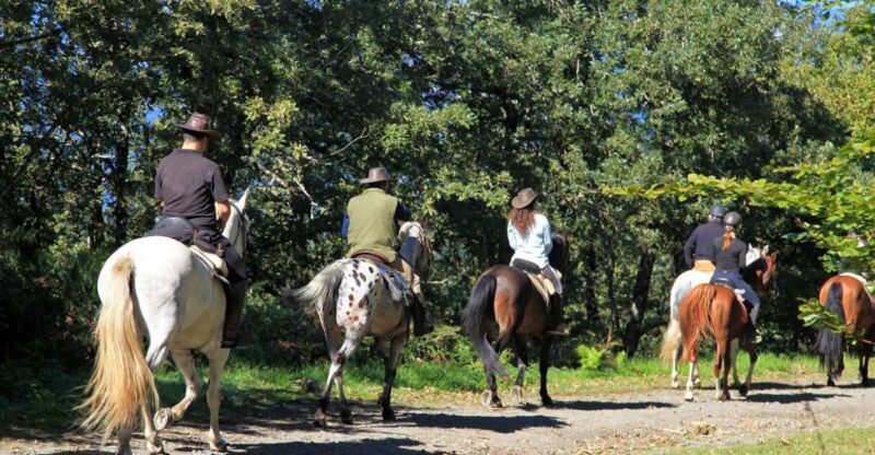 Horse Riding Through The valleys + food tasting - Valuing Your Investment
